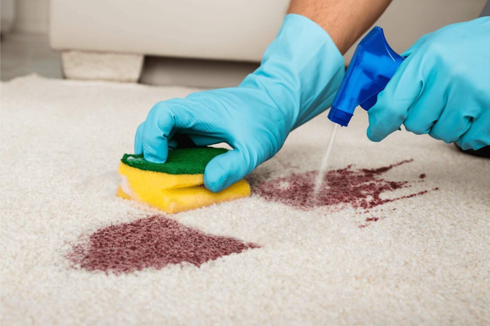 Tips to remove stubborn stains your carpets Tips to remove stubborn stains your carpets